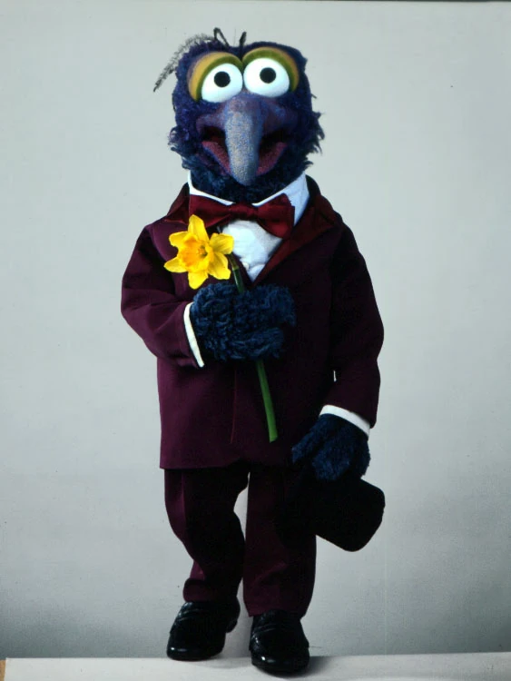 Image - Gonzo Full Body.jpg | Disney Wiki | FANDOM powered by Wikia