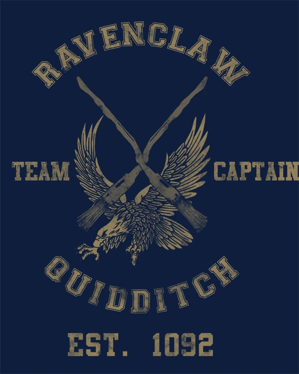 Forum:Ravenclaw Quidditch Team Captain | Dumbledore's Army Role-Play ...