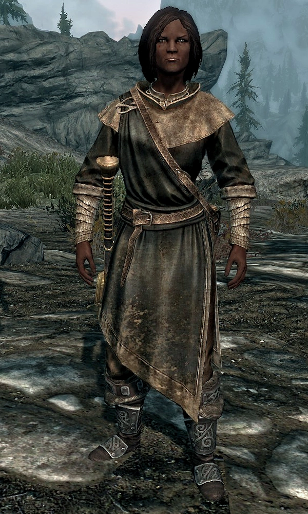 Vigilants of Stendarr | Elder Scrolls | FANDOM powered by Wikia