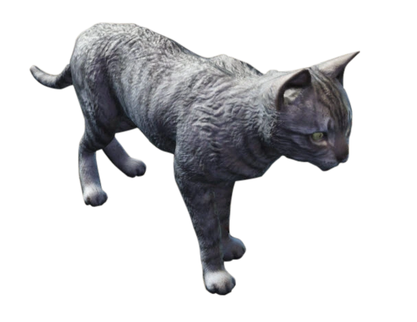 Cat house fallout 4 - triprot