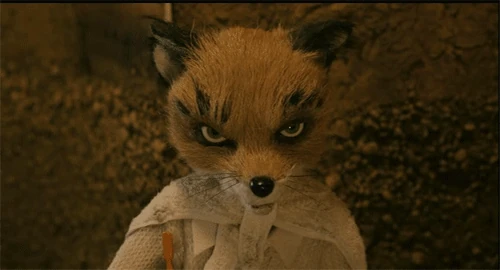 Ash | Fantastic Mr.Fox Wiki | Fandom powered by Wikia