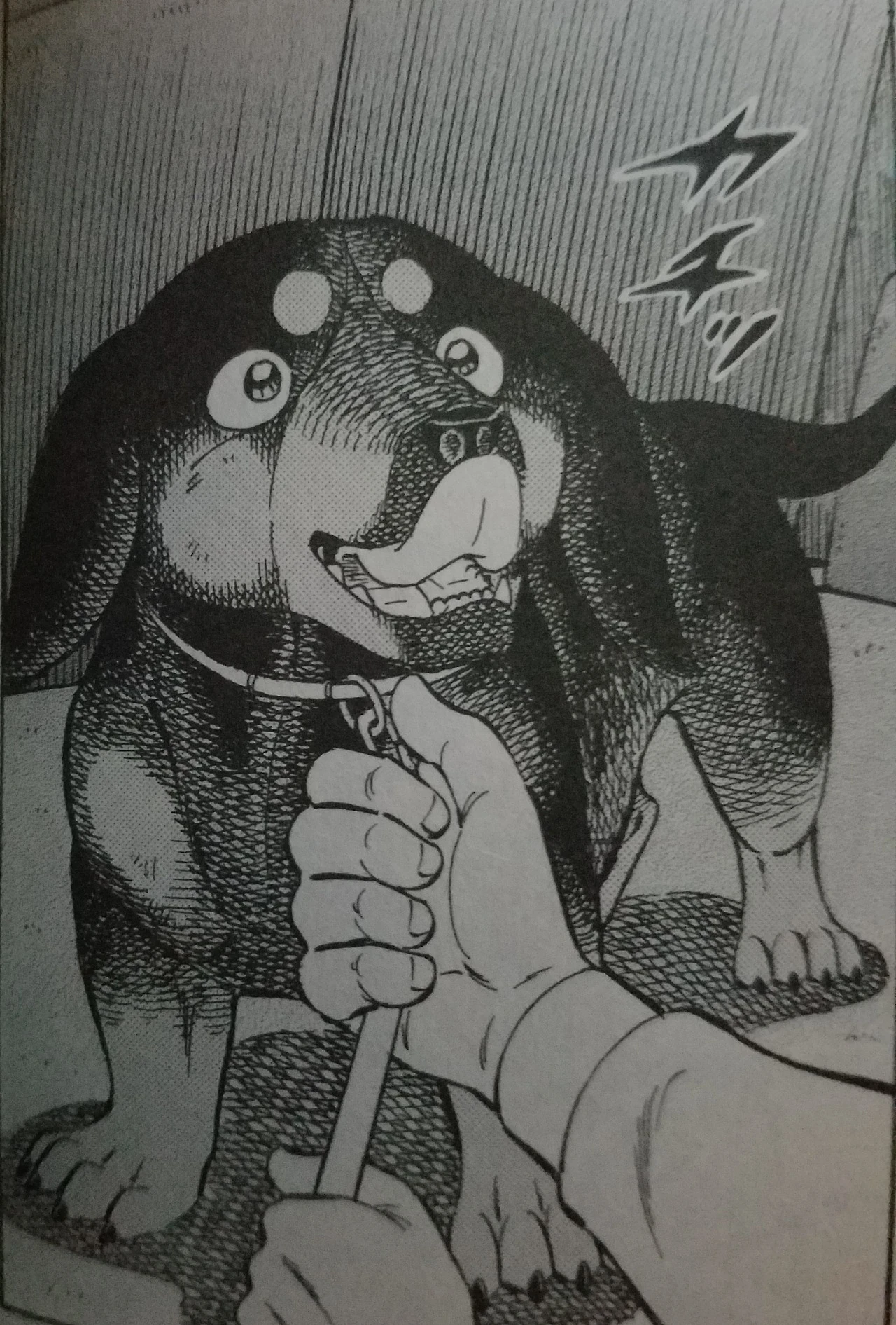 Image - Tumblr otgbb2CY3s1tr6wqbo7 1280.jpg | Ginga Wiki | FANDOM ...