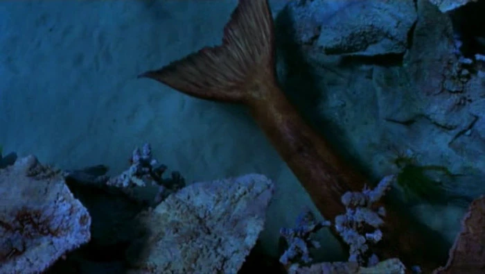 Image - Mermaid Tail.jpg | H2O Just Add Water Wiki | FANDOM powered by ...