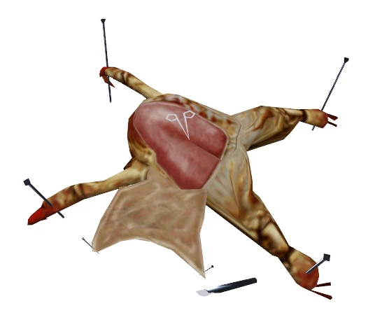 Image - Dissected headcrab.jpg | Half-Life Wiki | FANDOM powered by Wikia