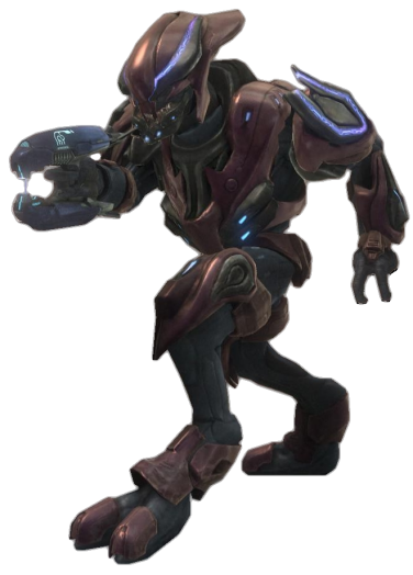 Immagine Elite Zelota Halo Reach Png Halopedia Fandom Powered By