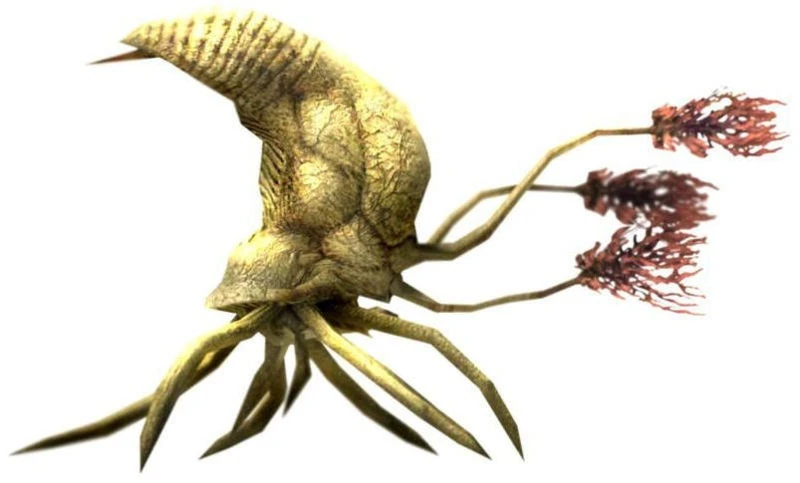 Image - Flood infection form.1.jpg | Halo Nation | Fandom powered by Wikia