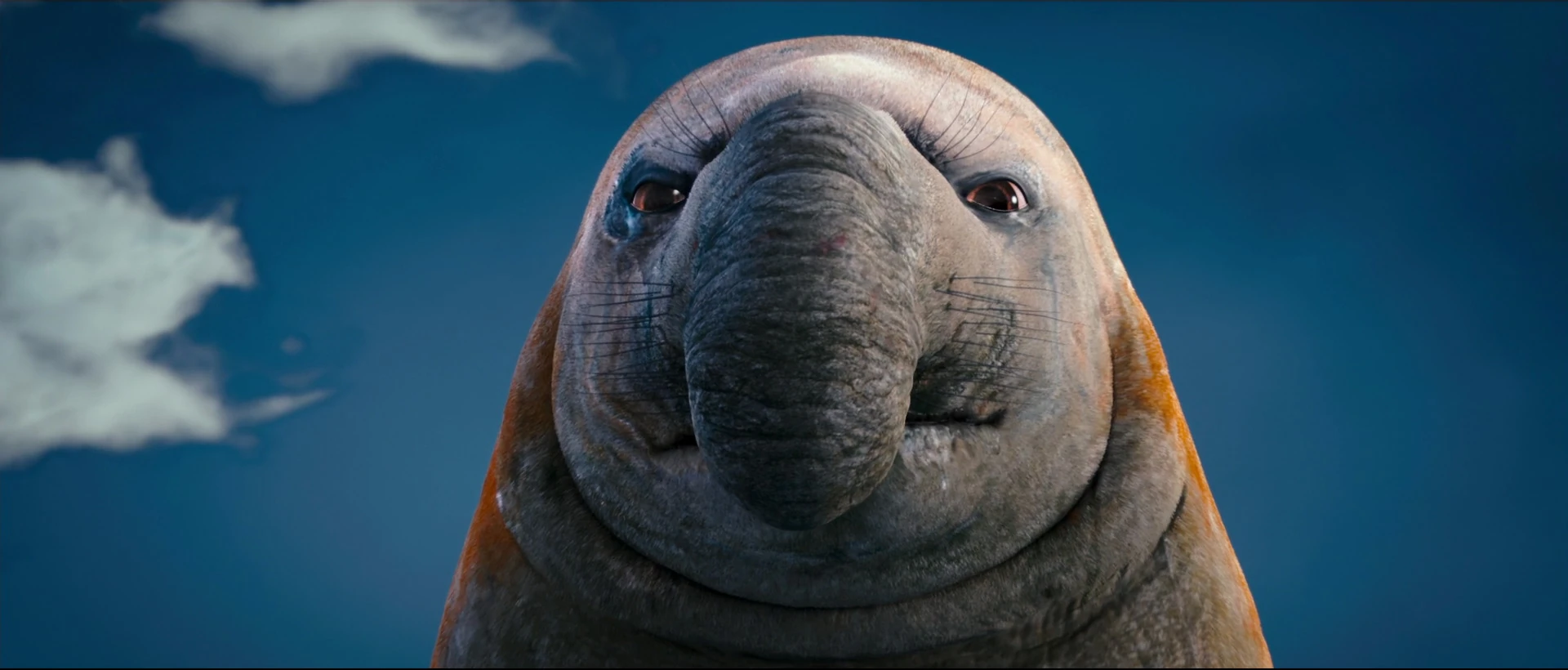 Image - Happy-feet2-disneyscreencaps.com-10040.jpg | Happy Feet Wiki ...