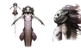 Merrow | Harry Potter Wiki | Fandom powered by Wikia