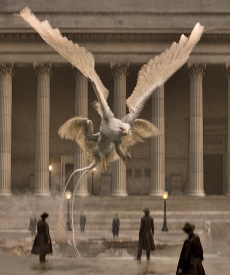 Thunderbird | Harry Potter Wiki | Fandom powered by Wikia
