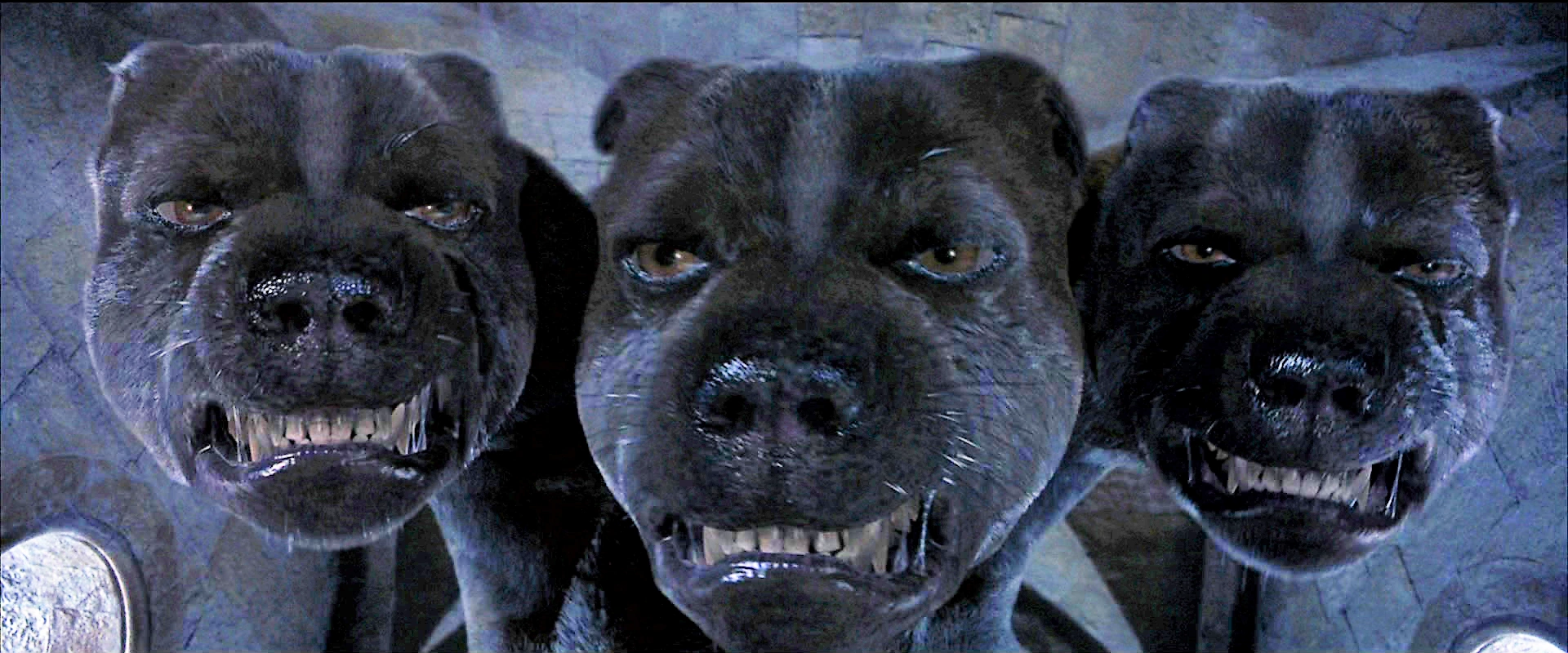 Image - Fluffy HP1.png | Harry Potter Wiki | Fandom powered by Wikia