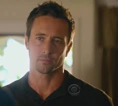 Steve McGarrett | HAWAII FIVE-O Wiki | Fandom powered by Wikia