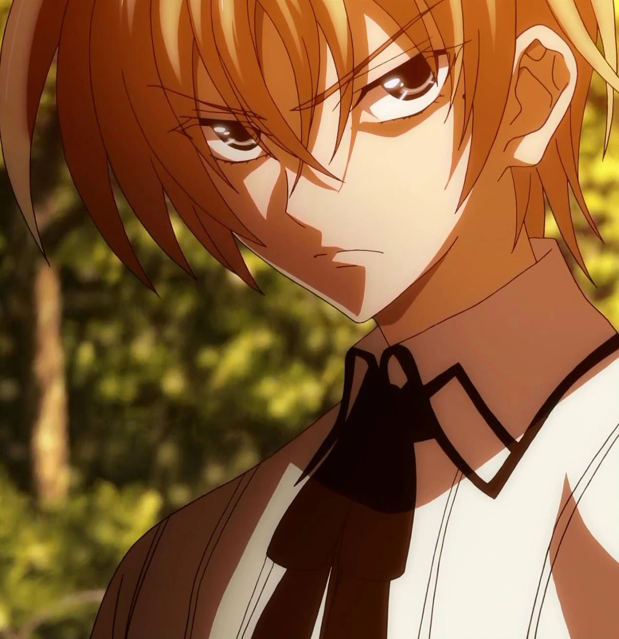 Highschool Dxd Yuuto