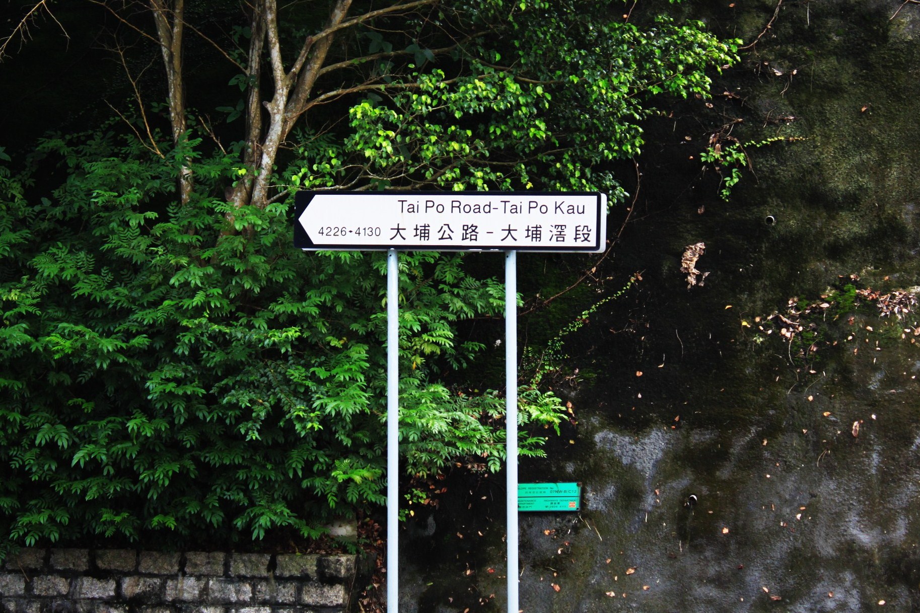大埔公路 大埔滘段 香港巴士大典 Fandom Powered By Wikia