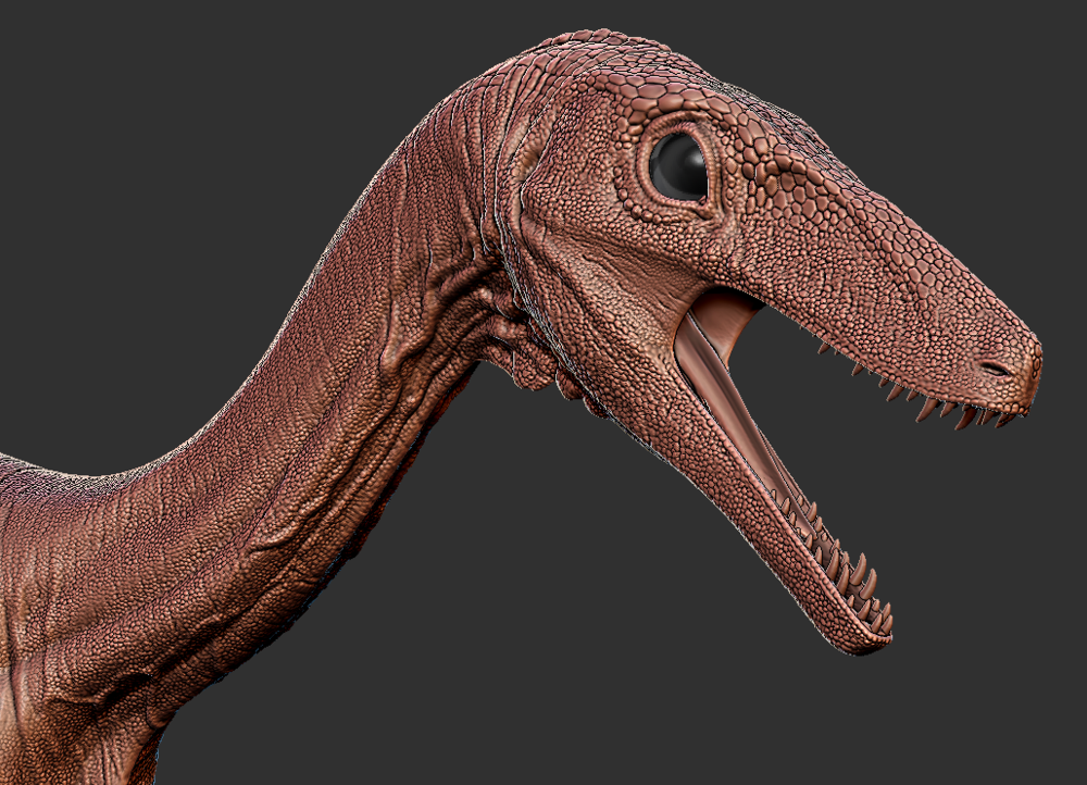 Compsognathus The Isle Wiki Fandom Powered By Wikia