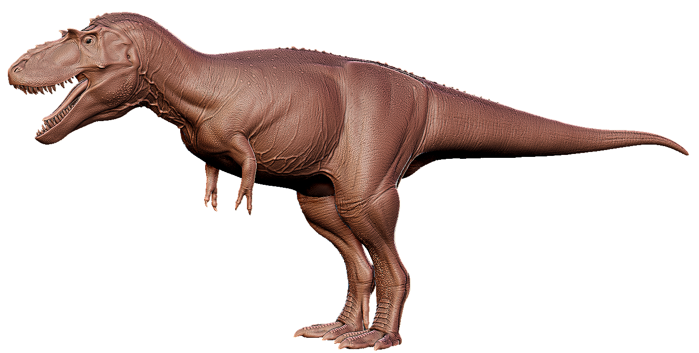 Albertosaurus The Isle Wiki Fandom Powered By Wikia