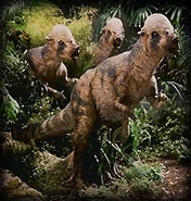 Pachycephalosaurus | Jurassic Park wiki | FANDOM powered by Wikia