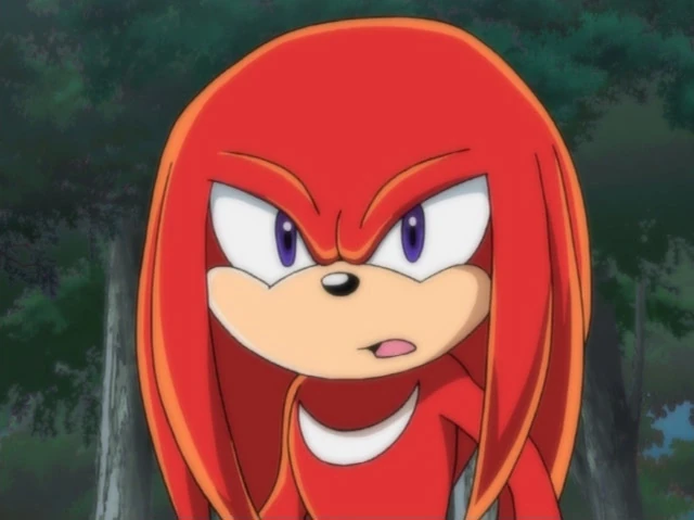 Knuckles the Echidna | Legends of the Multi Universe Wiki | FANDOM ...