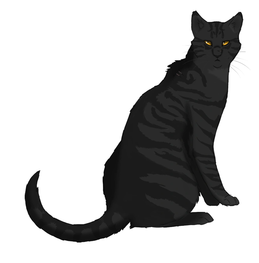 Éclair Noir | Wiki La guerre des Clans | FANDOM powered by Wikia