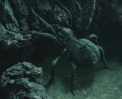 Great Spiders | The One Wiki to Rule Them All | Fandom powered by Wikia