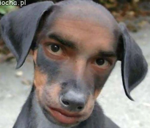 Pimpek | Star Wars Fanonpedia | FANDOM powered by Wikia