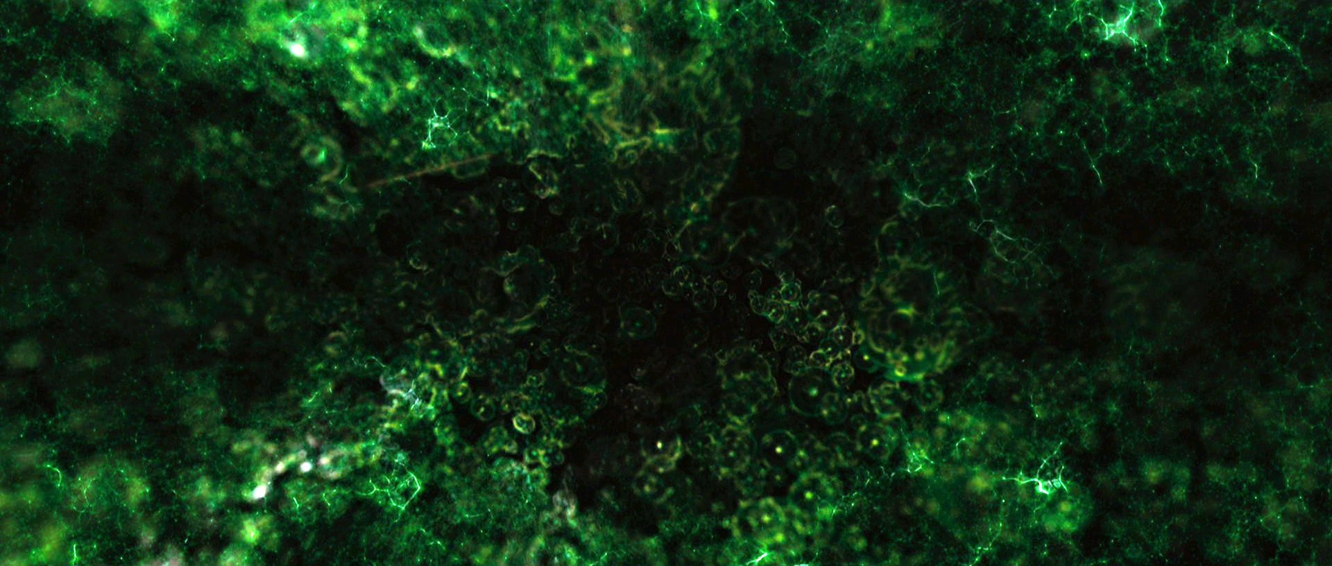 Gamma Radiation | Marvel Cinematic Universe Wiki | FANDOM powered by Wikia