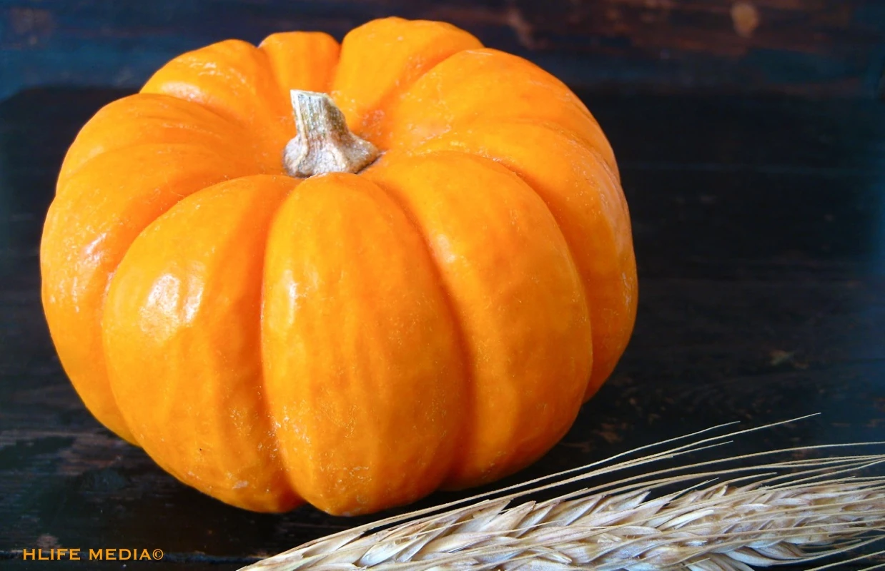 Calabaza | Mi Gastronomia Wiki | Fandom powered by Wikia