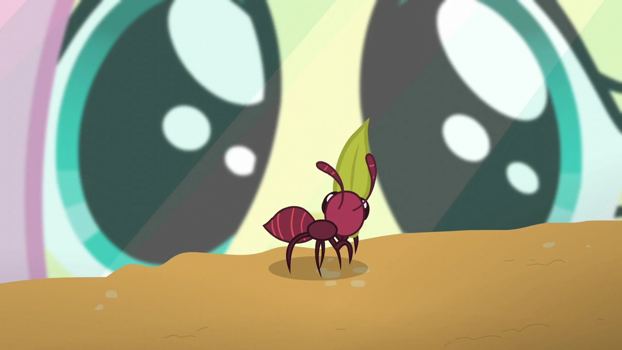 Image - Ant looks at Fluttershy S5E19.png | My Little Pony Friendship ...
