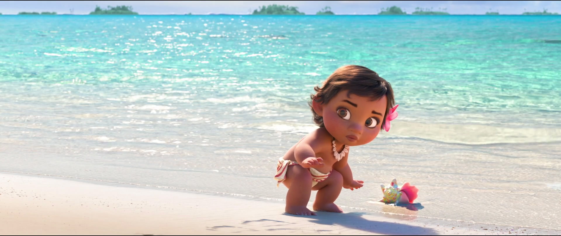 Seashells Moana Wikia Fandom Powered By Wikia