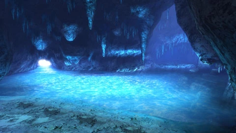 Monster hunter pitfall trap vs shock trap - dopswag