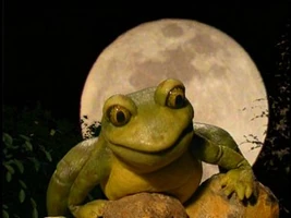 Frogs | Muppet Wiki | FANDOM powered by Wikia
