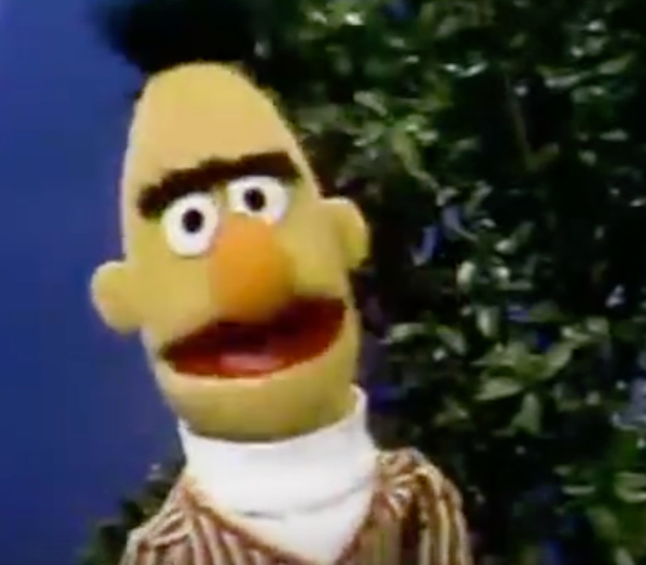 Bert Through the Years | Muppet Wiki | FANDOM powered by Wikia Bert Through the Years | Muppet Wiki | FANDOM powered by Wikia