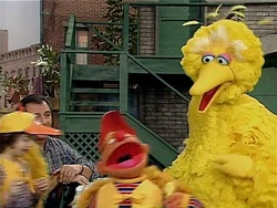 Episode 3873 | Muppet Wiki | Fandom powered by Wikia