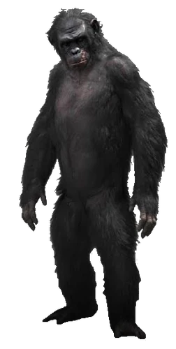 Koba | Geo G. Wiki | Fandom powered by Wikia