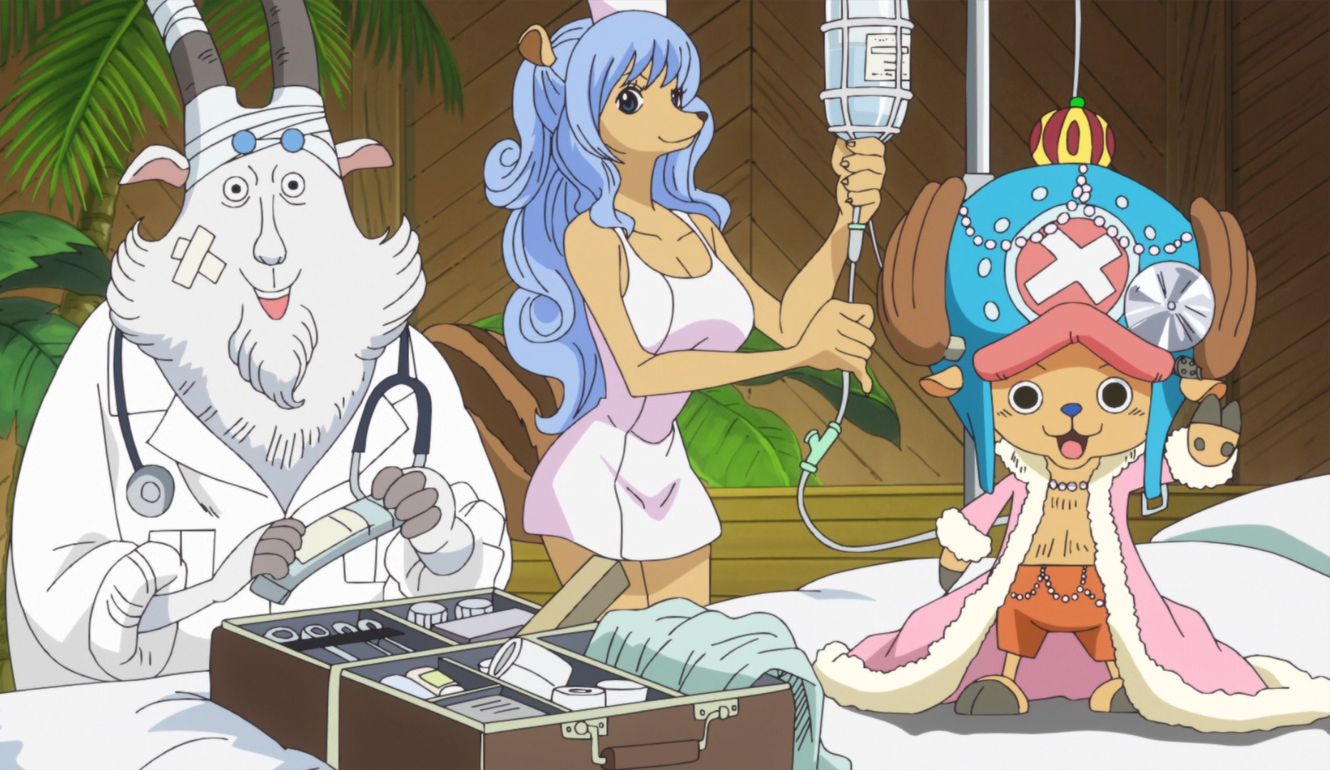 Doctor One Piece Wiki Fandom Powered By Wikia
