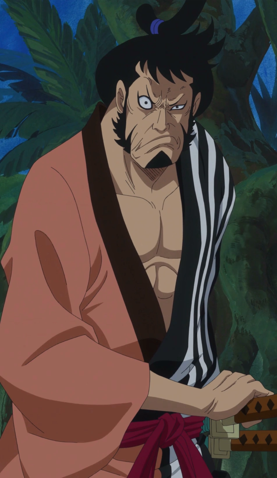 Kin'emon | One Piece Wiki Italia | FANDOM powered by Wikia