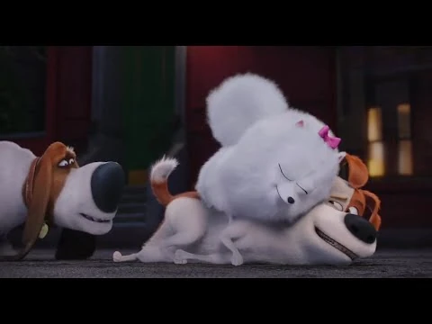 Image - Img 18148 the-secret-life-of-pets-gidget-and-max-gidget-best ...