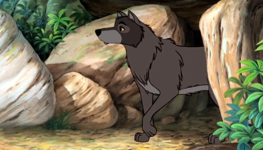 Raksha Jungle Book