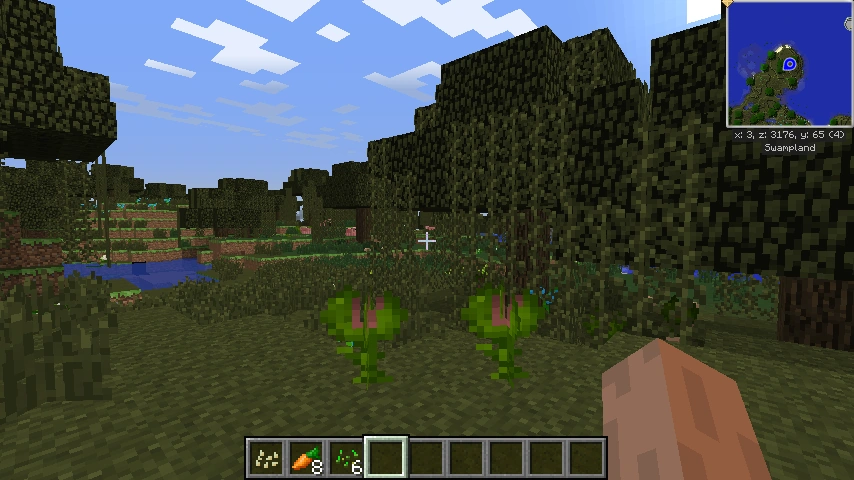 Bonecraft mods - rociphone