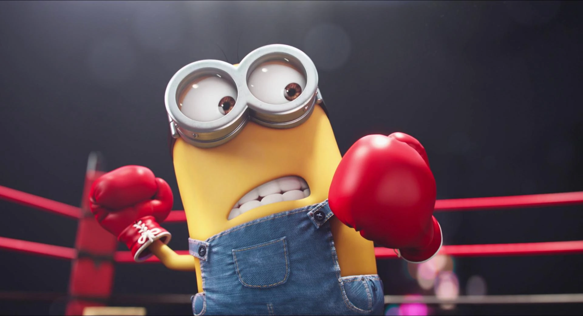 Image - Phil minion boxing.jpg | The Parody Wiki | Fandom powered by Wikia