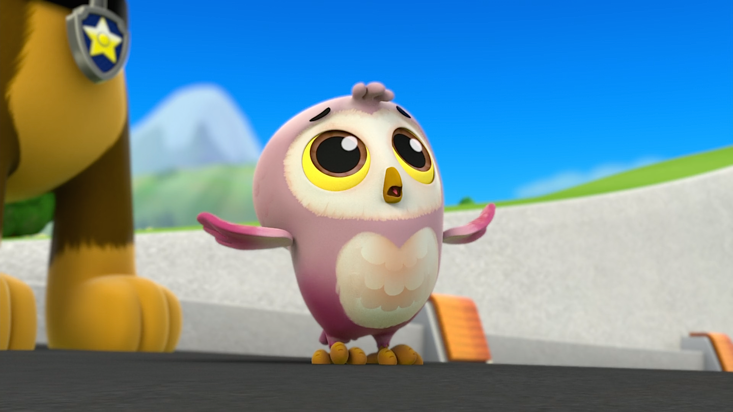 Category:Owls | PAW Patrol Wiki | FANDOM powered by Wikia Category:Owls | PAW Patrol Wiki | FANDOM powered by Wikia