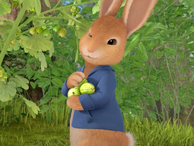 Image - PETER-RABBIT.png | Peter Rabbit (TV series) Wiki | FANDOM ...