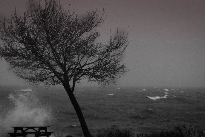 Takut Keluar Rumah atau Malas Keluar Rumah ? « Langkah langkah kecil