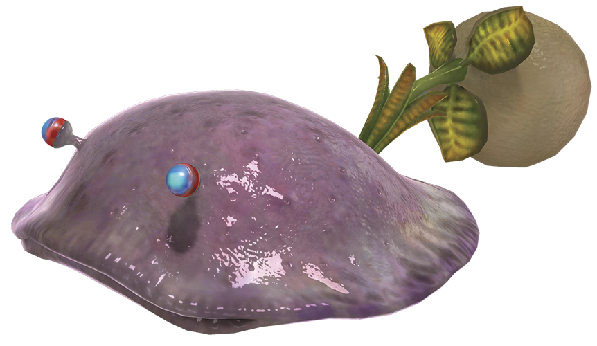 Mollusking Pikmin Fandom Powered By Wikia