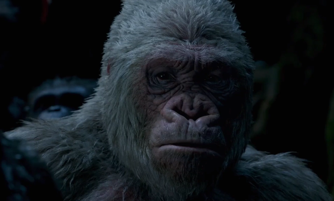 Winter | Planet of the Apes Wiki | FANDOM powered by Wikia