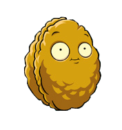 Image - Hd Wall-nut.png | Plants vs. Zombies Wiki | FANDOM powered by Wikia