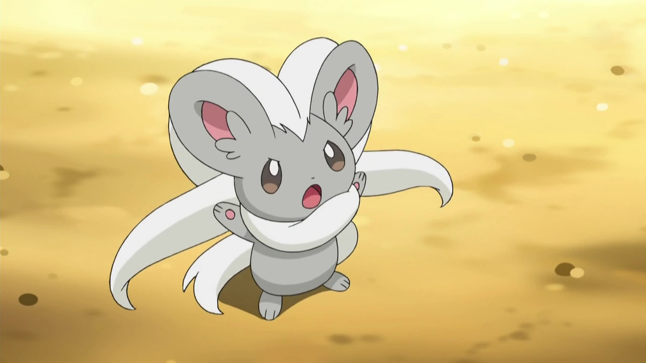 Horatio's Cinccino | Pokémon Wiki | Fandom powered by Wikia