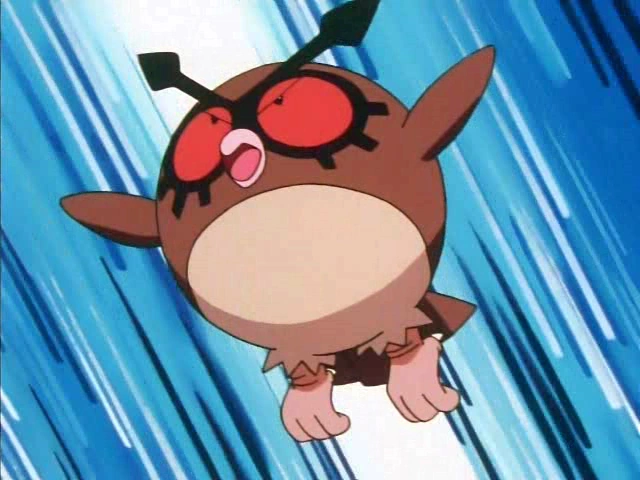 Hoothoot | Pokémon Wiki | FANDOM powered by Wikia