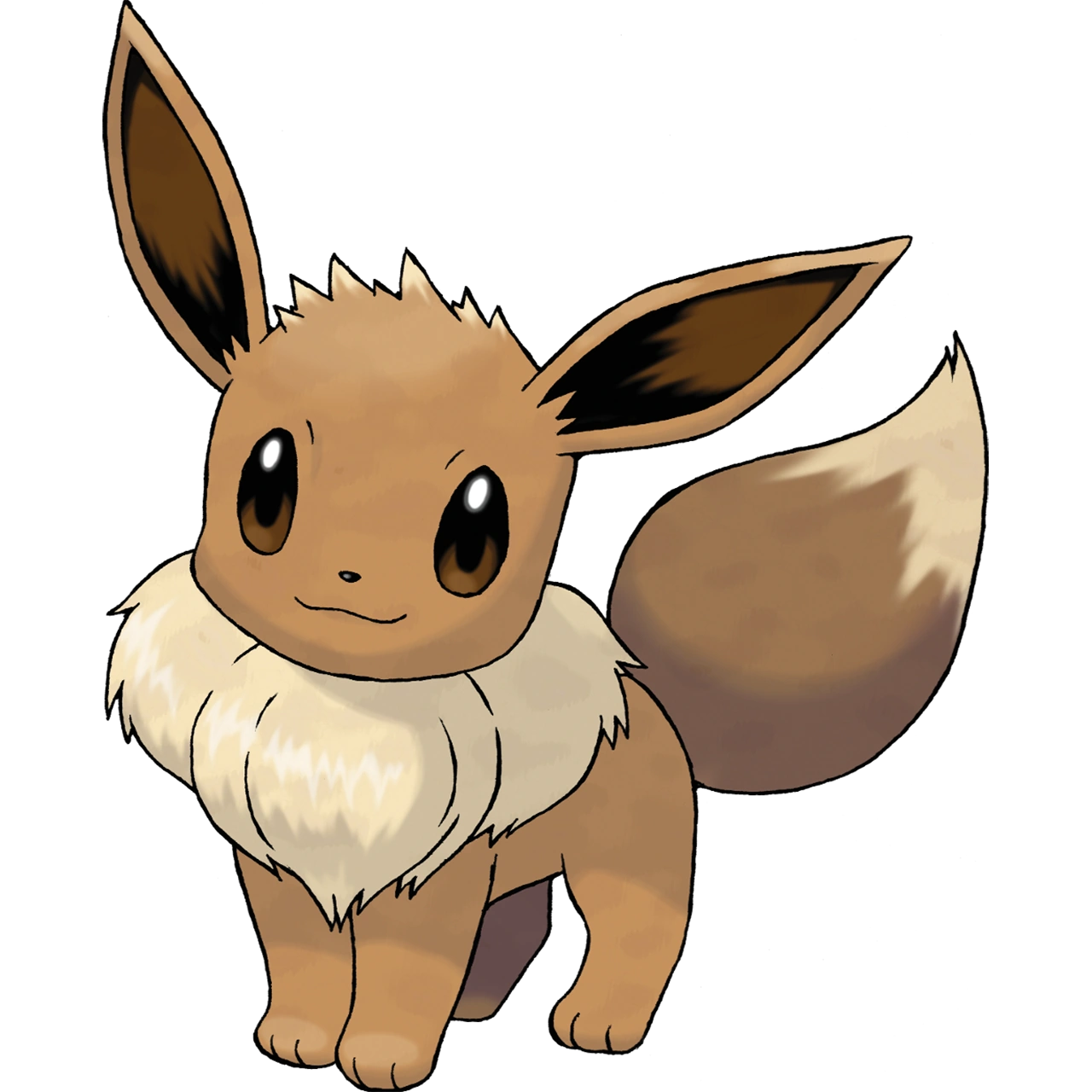 Eevee | Pokémon Wiki | FANDOM powered by Wikia
