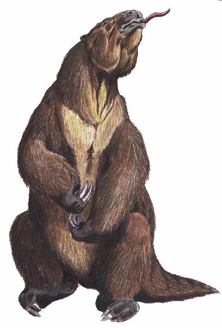 Megatherium | Prehistoric Earth Wiki | FANDOM powered by Wikia