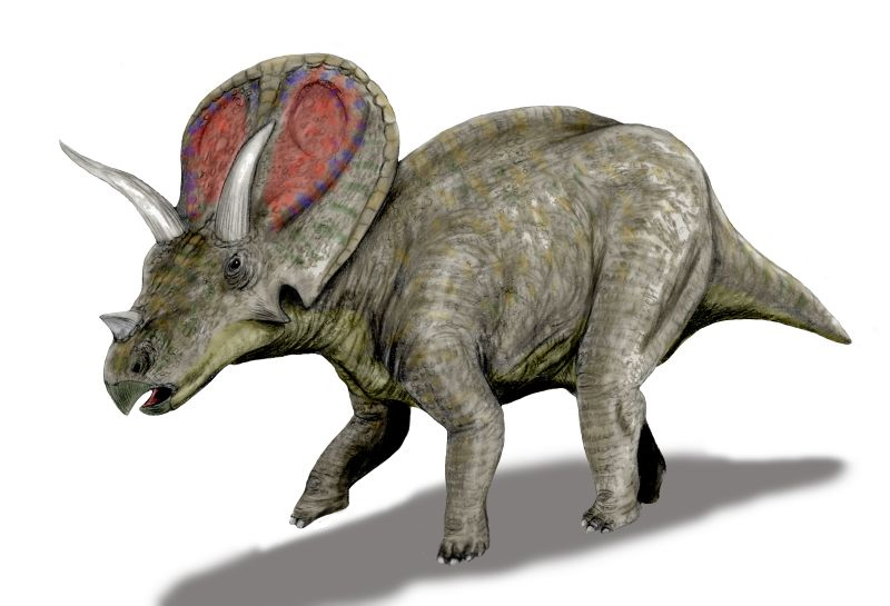 Torosaurus Prehistoric Earth Wiki Fandom Powered By Wikia